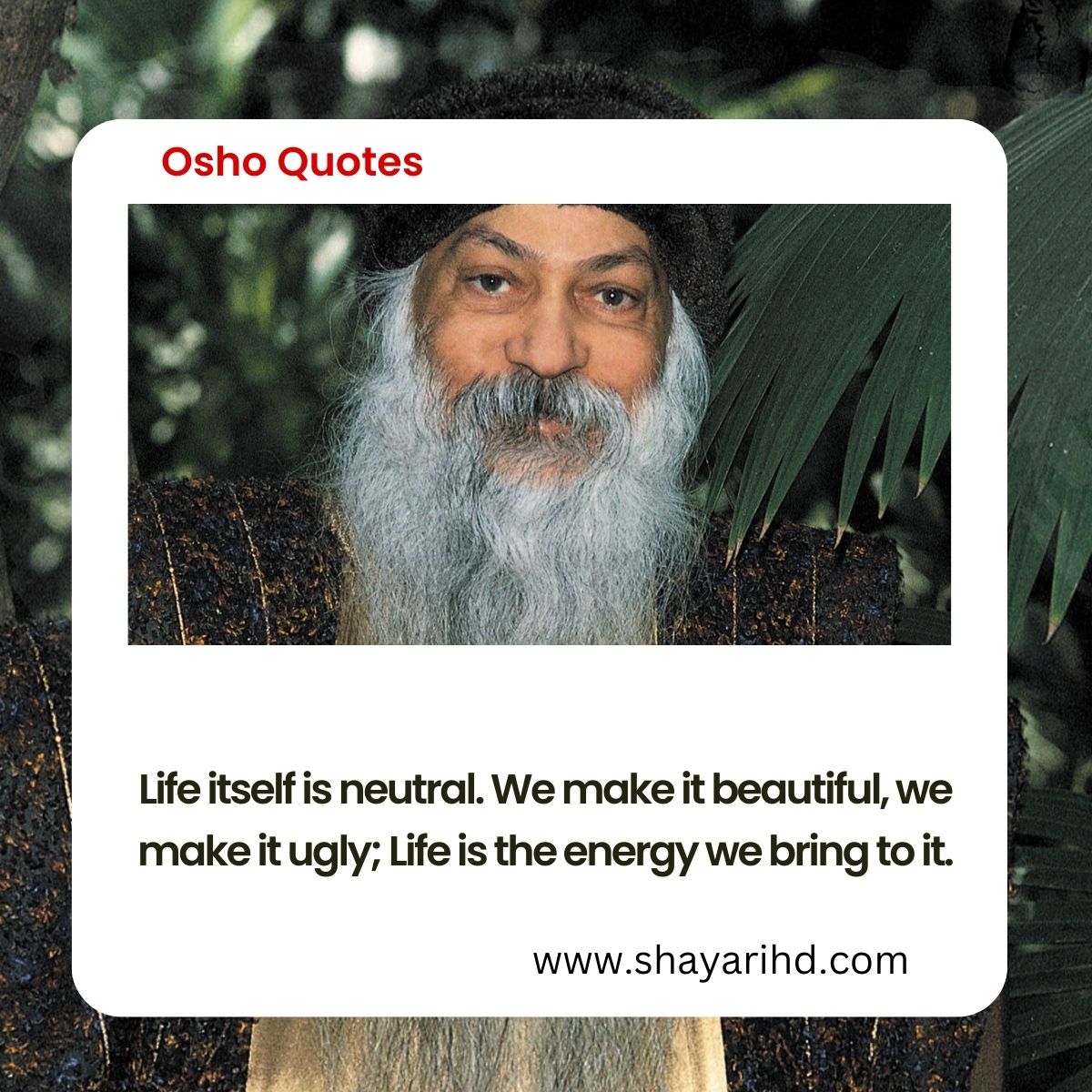 Osho Thankful Quotes